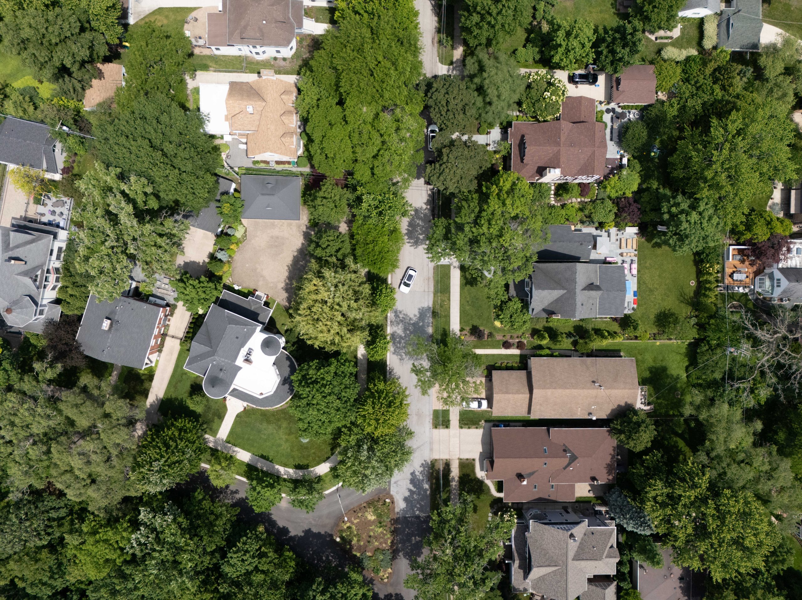 City Leaders Tout Tree-Planting Bonanza, But Neighborhood Disparities ...